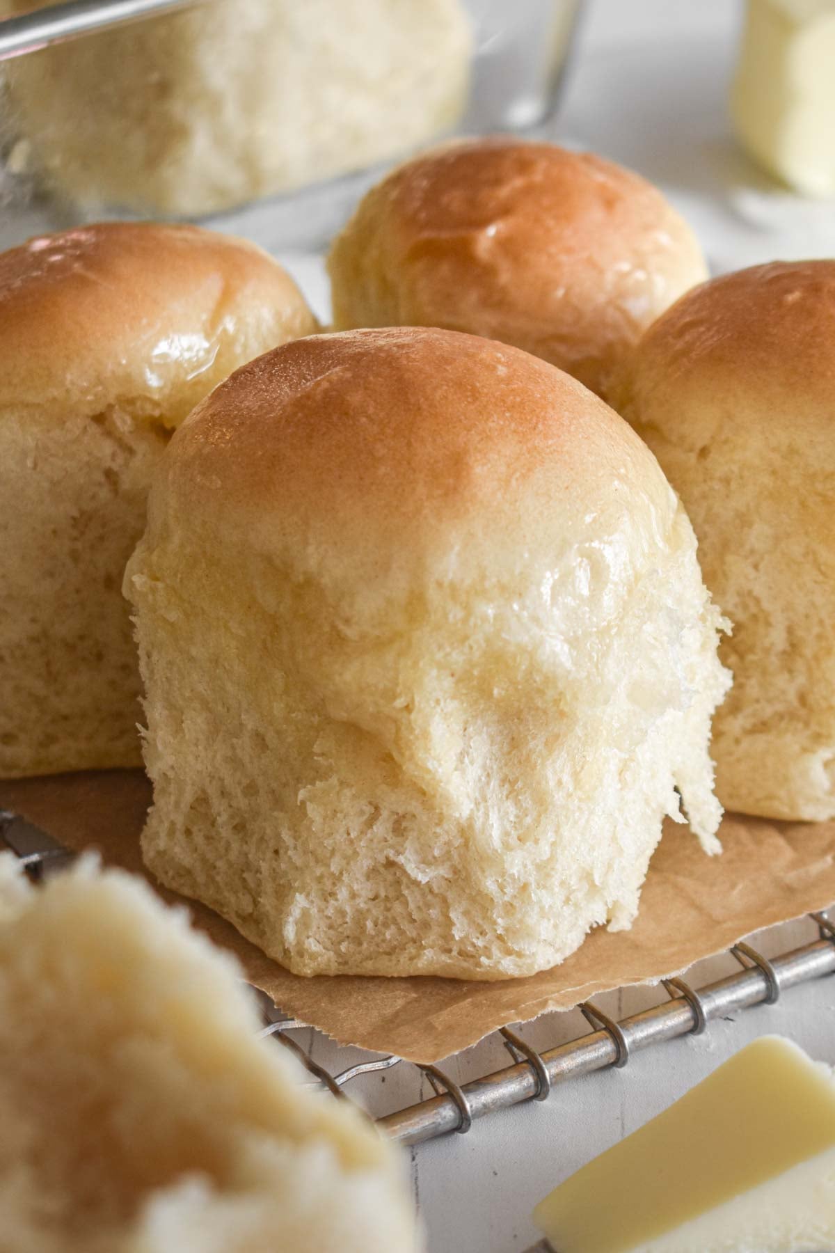 Homemade Dinner Rolls • Dance Around the Kitchen